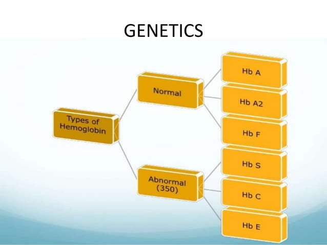 Hemoglobinopathy -sickle cell anemia | PPTX | Blood Disorders ...