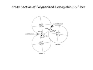 Hemoglobinopathy & sickle cell disease | PPTX