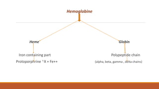 Metabolism of hemoglobin in our body _ 3rd semester | PPT