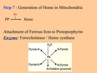 Hemoglobin synthesis, disorders, bilirubin metabolism | PPTX