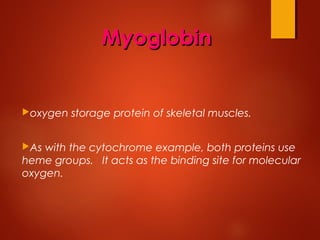 myoglobin | PPT