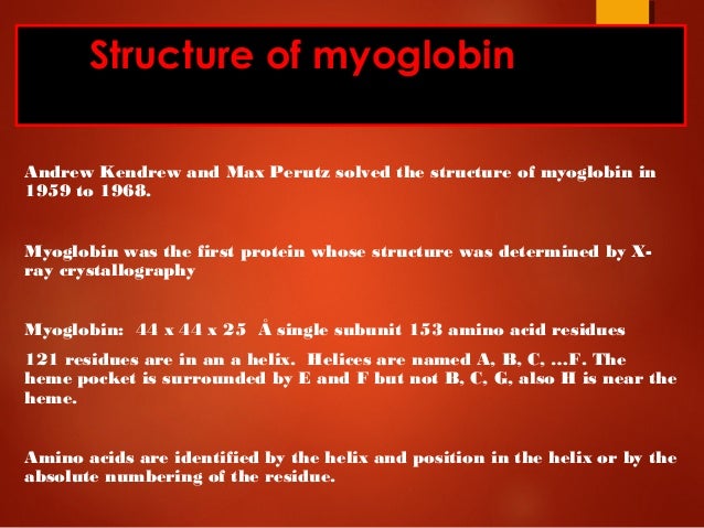 myoglobin