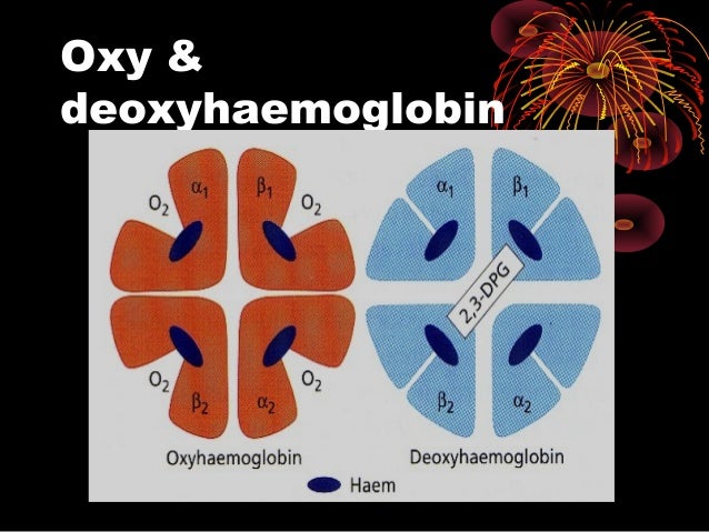Hemoglobin -structure and functions