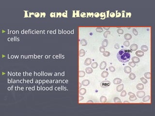 Hemoglobin structuredddddddddddddddd.ppt