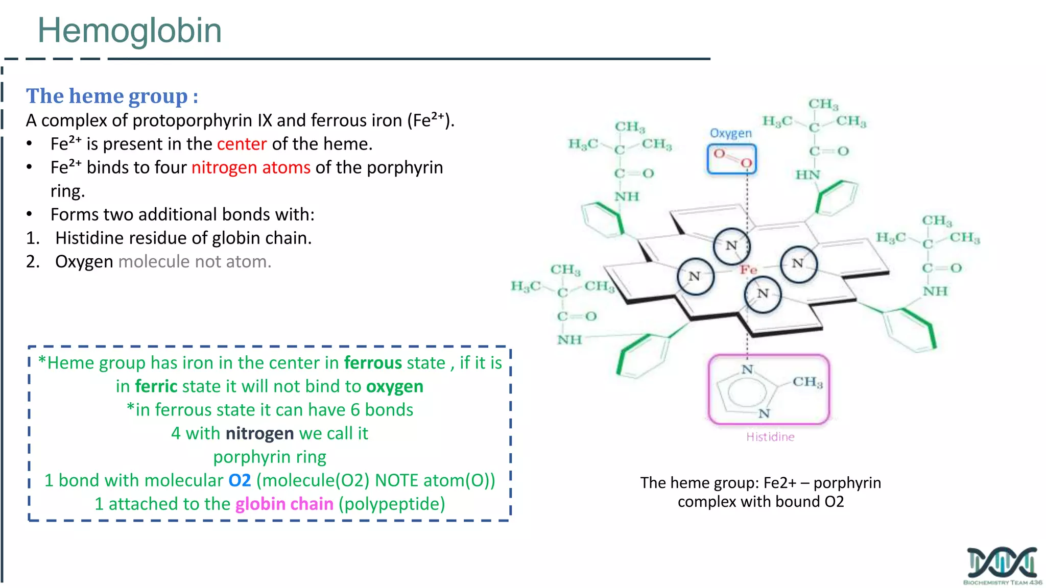Hemoglobin structure and function.pptx