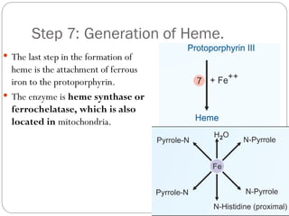 hemoglobinstructureandmetabolism-210212151146.ppt
