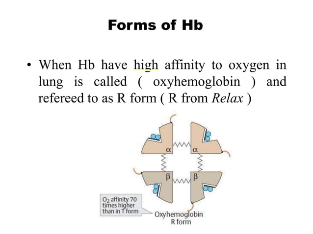 hemoglobinstructuresynthesisbreakdown-220418045309.pdf
