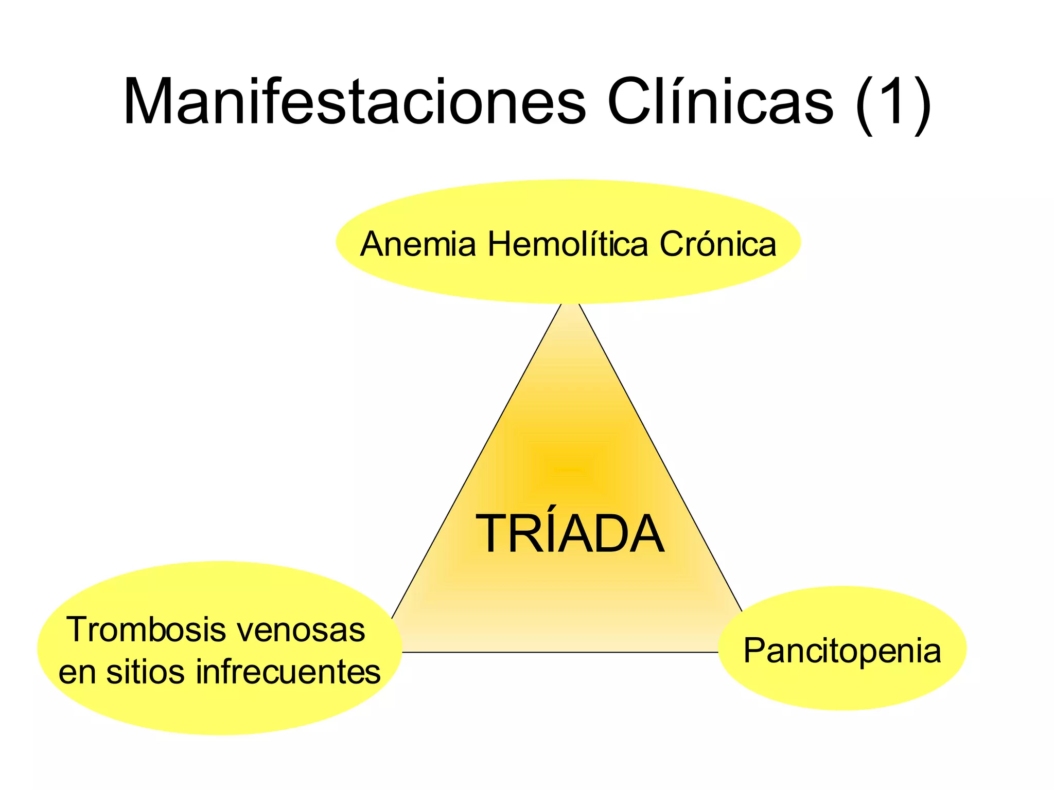 Hemoglobinuria Paroxistica Nocturna | PPT