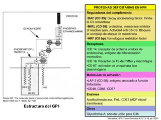 Hemoglobinuria Paroxistica Nocturna | PPT