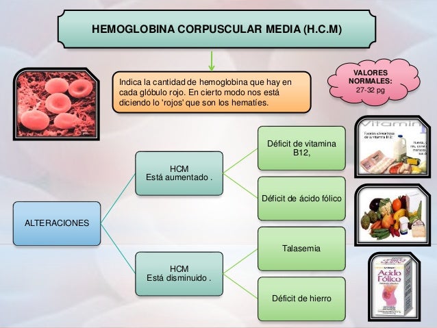 Hemograma 1pdf Leucocito Sistema Inmune
