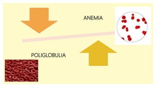 Hemograma | PPTX