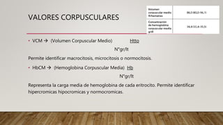 Hemograma interpretacion | PPTX