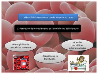 Hemolisis | PPTX