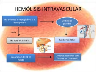 Hemolisis | PPTX