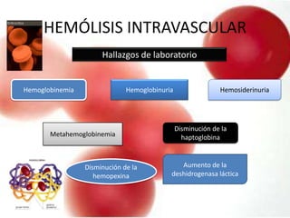 Hemolisis | PPTX