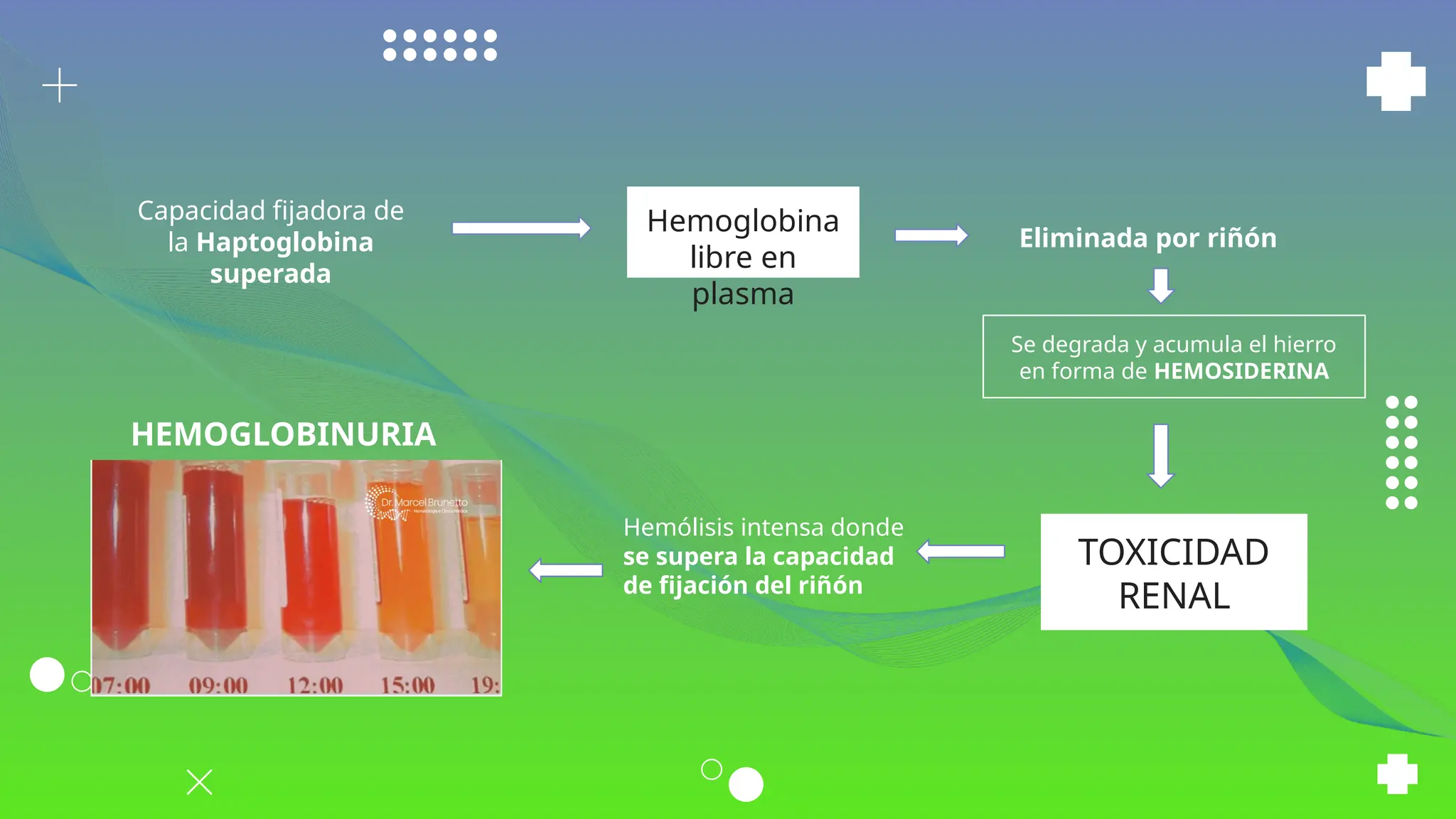 Hemolisis generalidades extravascular intravascular.pptx