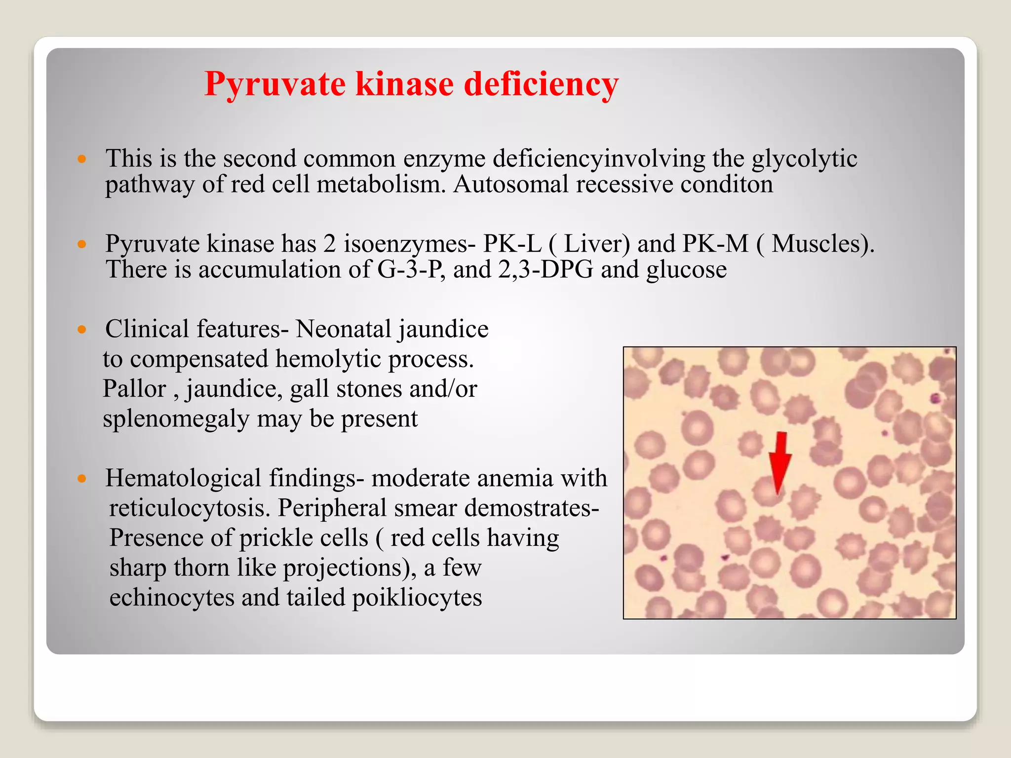 Hemolyic Anemia ppt | PPTX