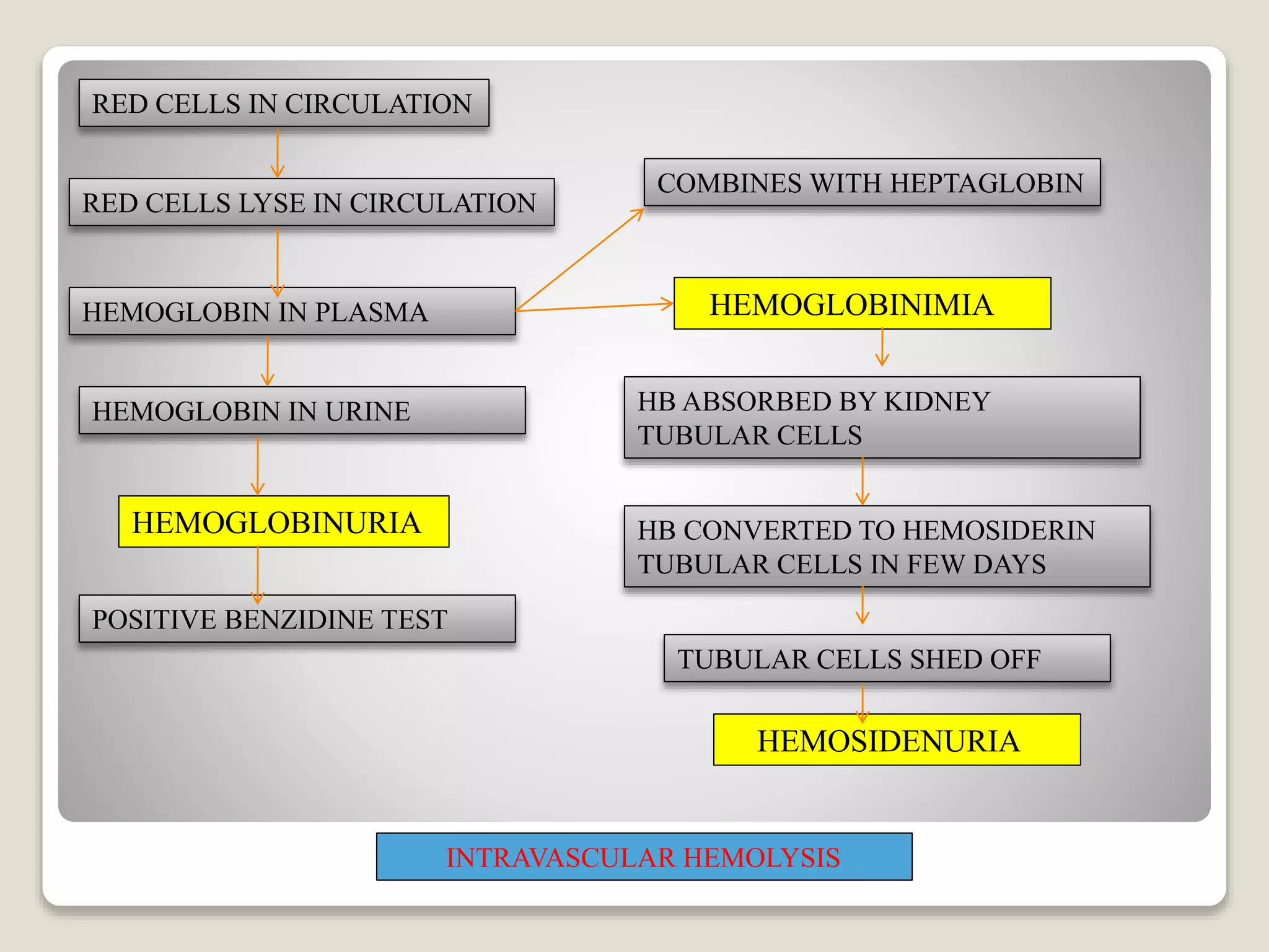 Hemolyic Anemia ppt | PPTX