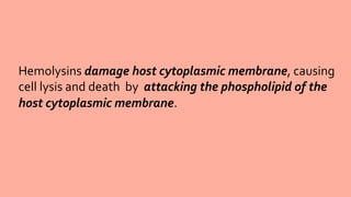 Hemolysis | PPTX