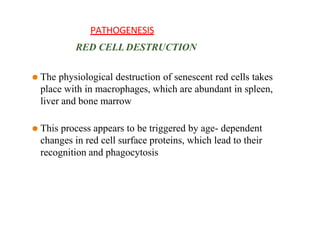 Hemolytic-Anemia.pptx