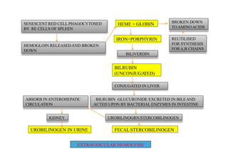 Hemolytic-Anemia.pptx