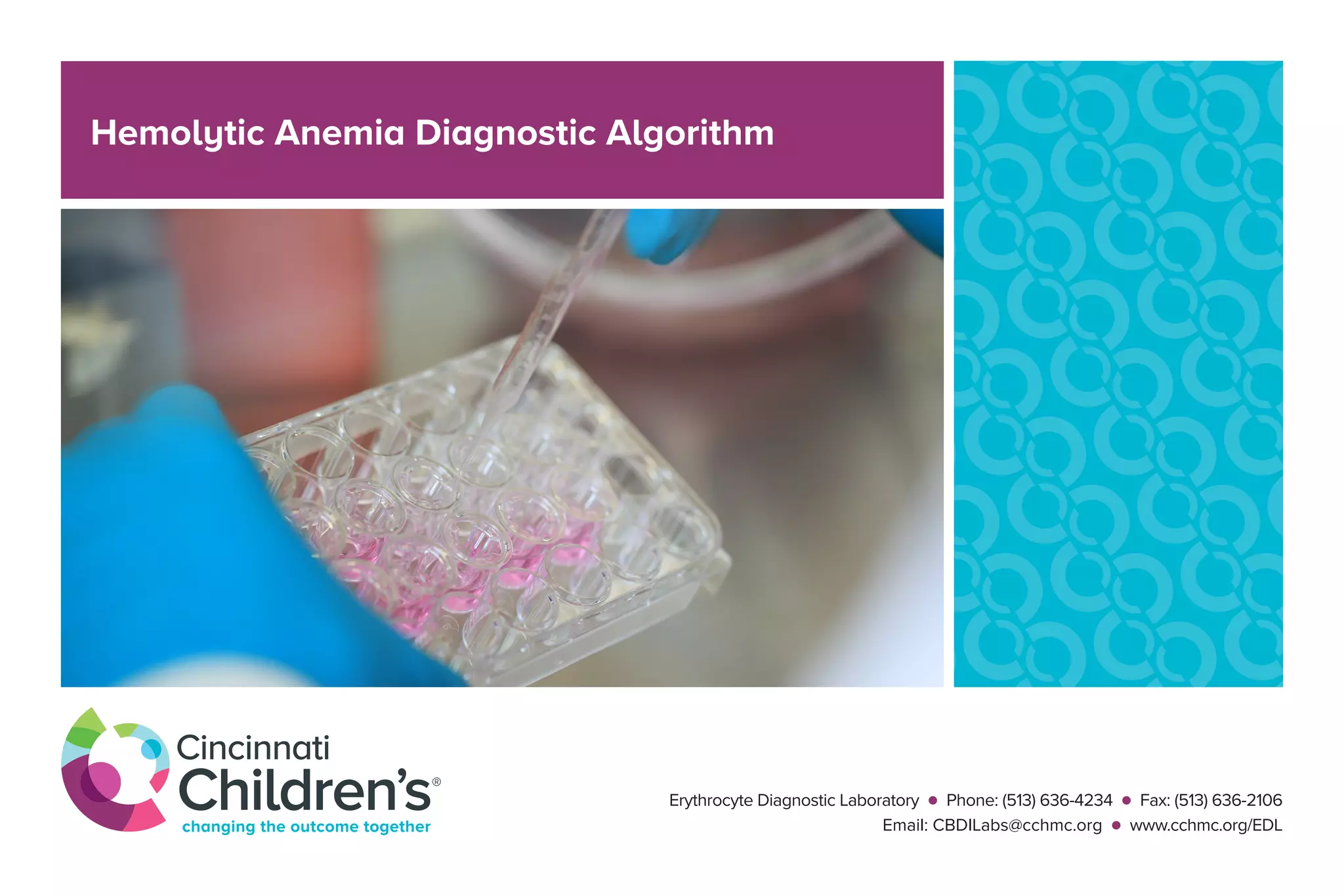 hemolytic-anemia-algorithm.pdf