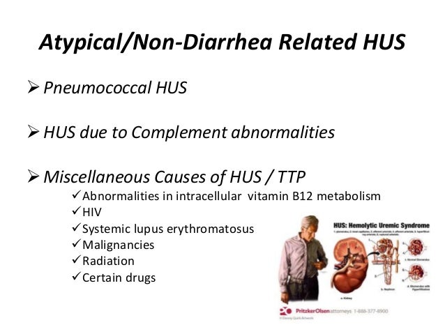 Hemolytic Uremic Syndrome Pathophysiology