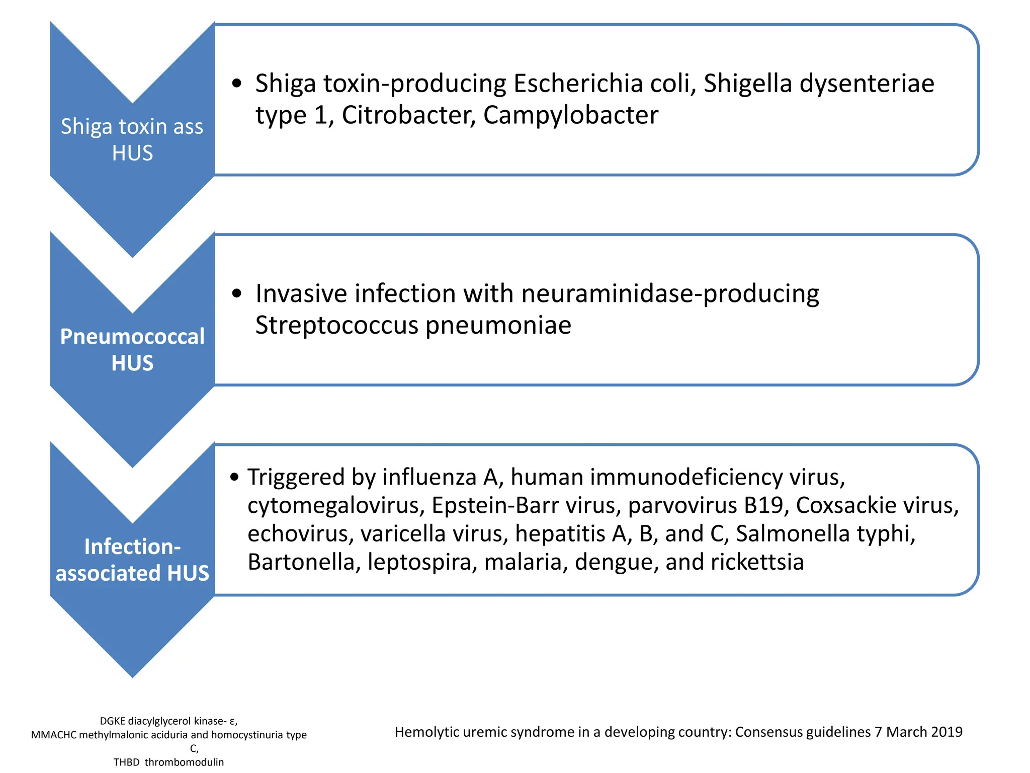 Hemolytic-uremic syndrome (HUS). important pptx | PPTX