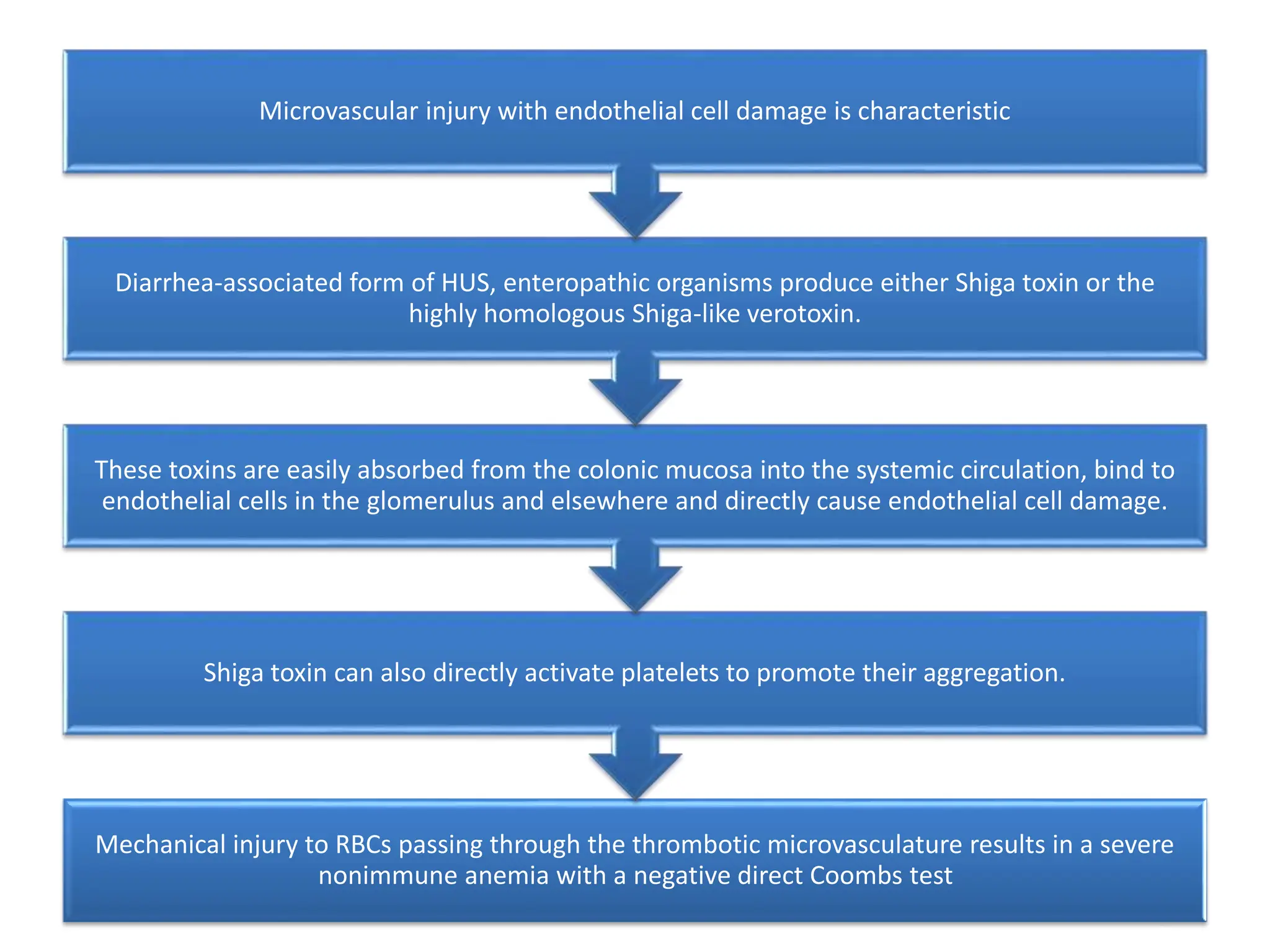 Hemolytic-uremic syndrome (HUS). important pptx | PPTX