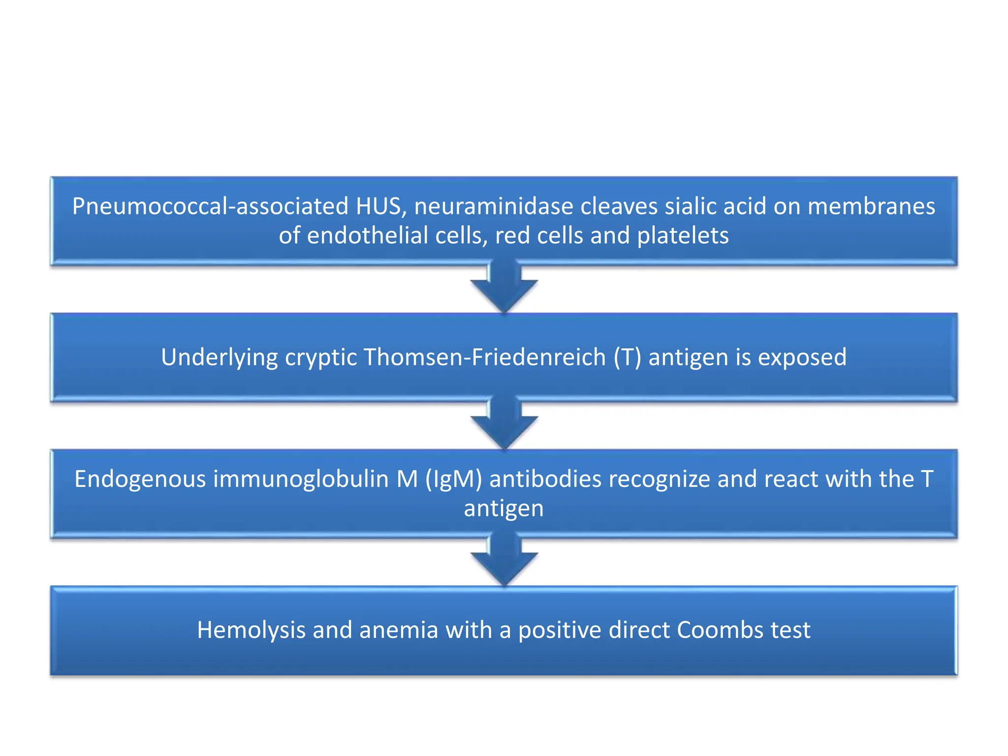 Hemolytic-uremic syndrome (HUS). important pptx | PPTX