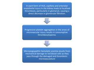 Hemolytic-uremic syndrome (HUS). important pptx | PPTX