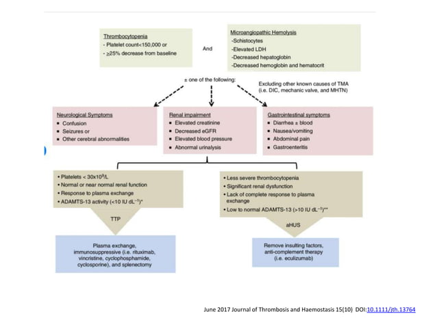 Hemolytic-uremic syndrome (HUS). important pptx | PPTX | Blood ...