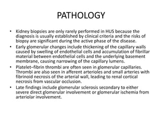 Hemolytic-uremic syndrome (HUS). important pptx | PPTX