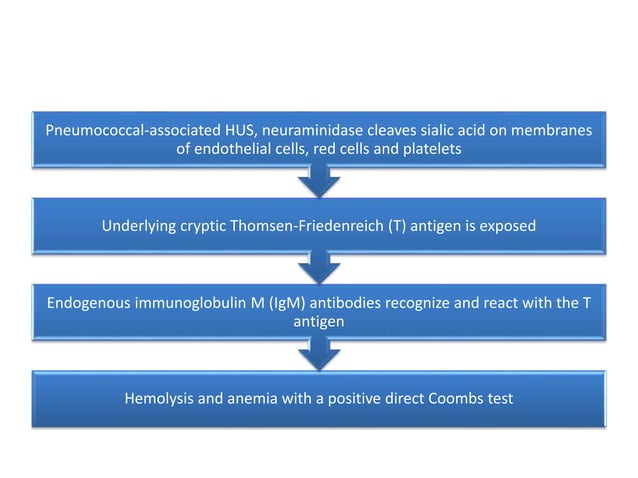 Hemolytic-uremic syndrome (HUS). important pptx | PPTX | Blood ...