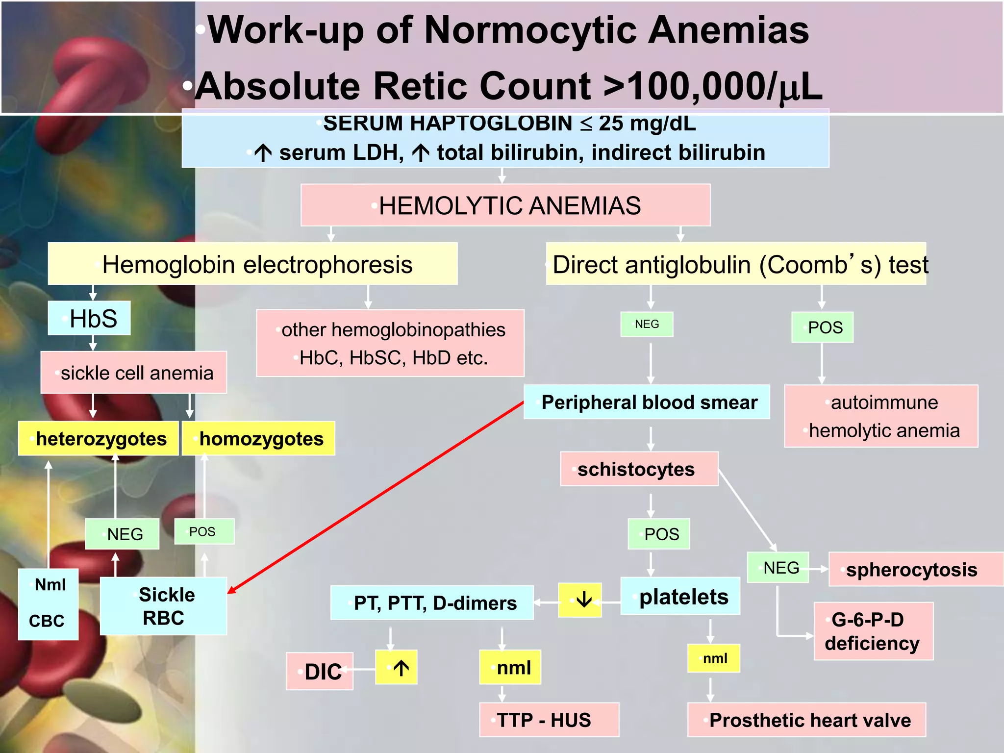 Hemolytic anemia | PPTX