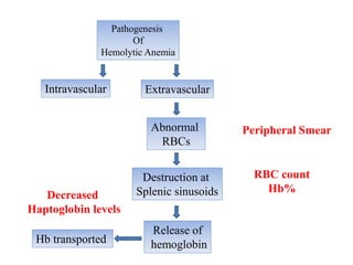 Pathogenesis & Lab diagnosis of Hemolytic Anemia | PPT
