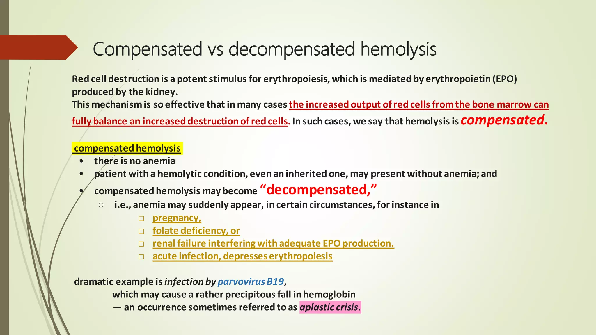 Hemolytic anemia; Harrison 19th edition | PPTX