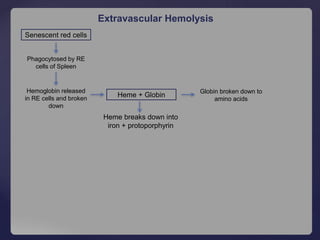 Hemolytic Anemia and it's Classificaiton | PPTX