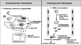Hemolytic anemia | PPTX
