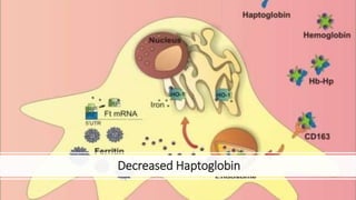Hemolytic anemia | PPTX