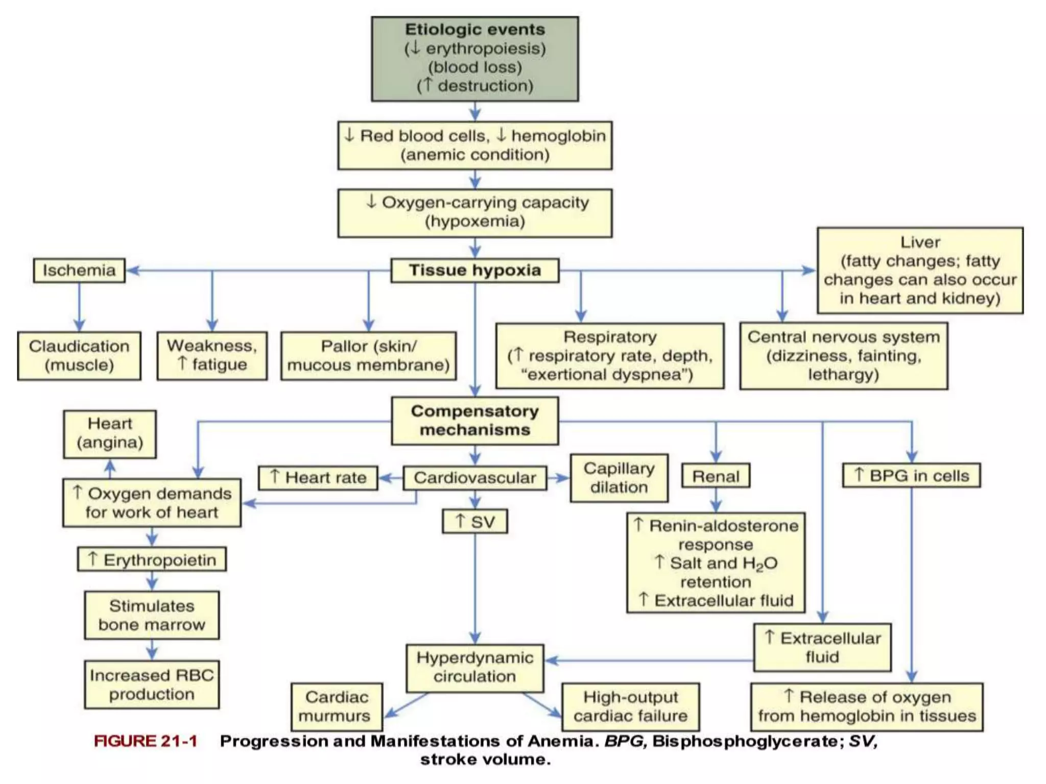 Hemolytic anemia - Approach and Management | PPTX