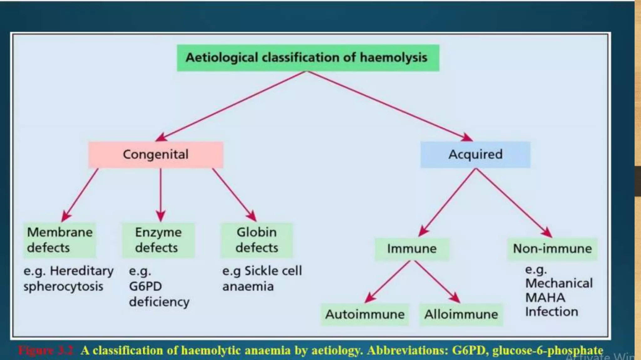 Hemolytic Anemia - Sickle Cell Anemia and Hereditary Spherocytosis | PPTX