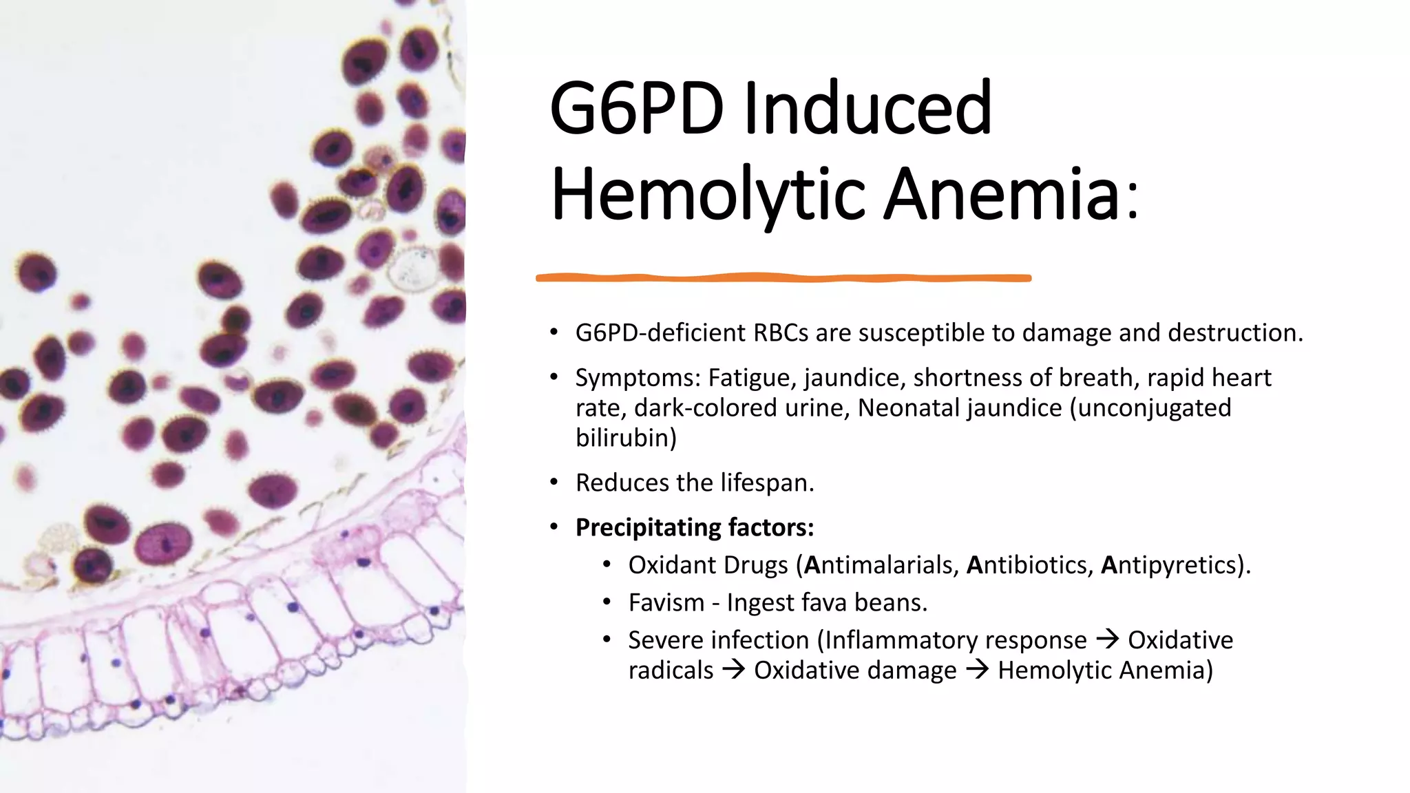Hemolytic Anemia.pptx