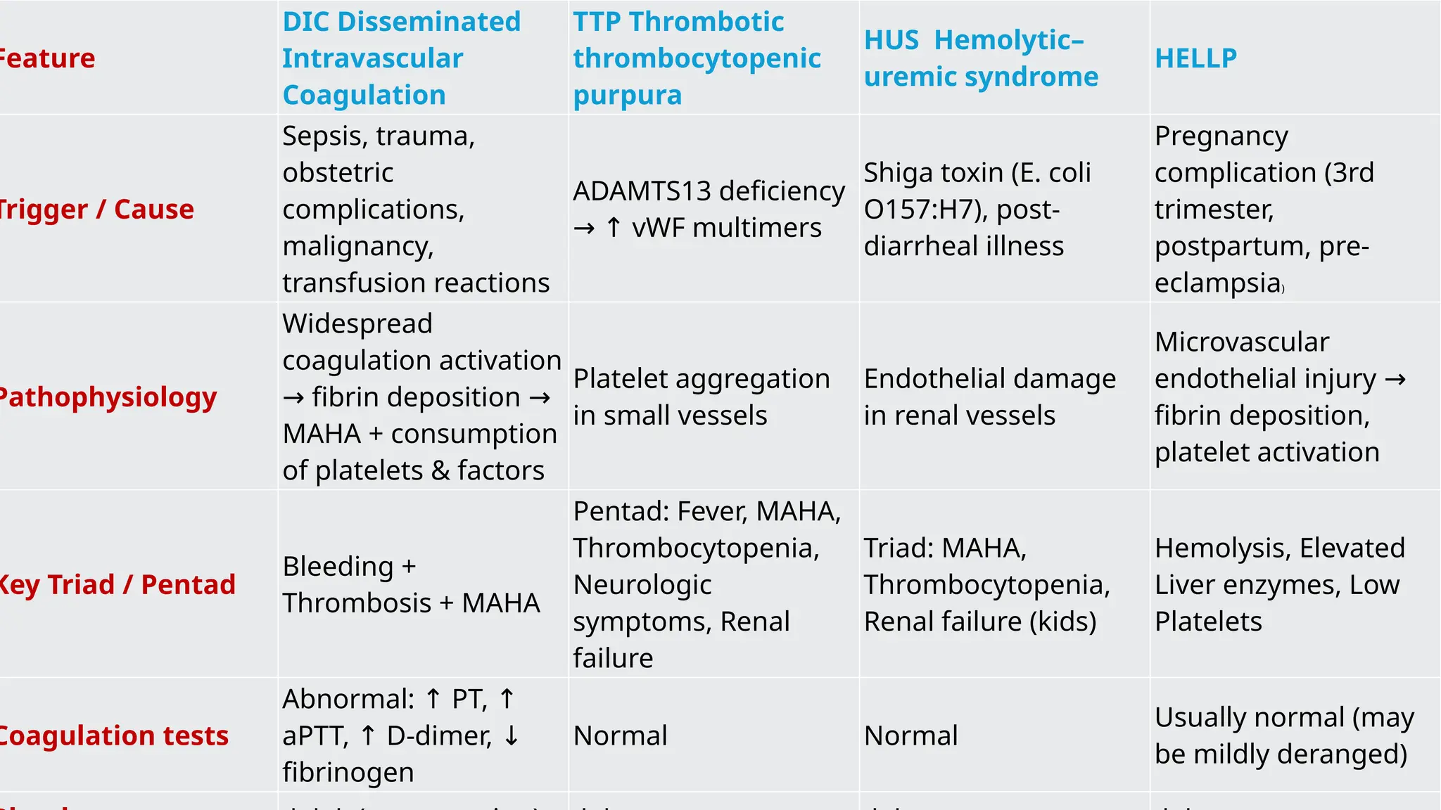 HEMOLYTIC ANEMIA.pptxythhsjghbcvnnnnnnkm | PPTX