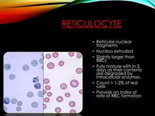 Hemolyticanemia afnan | PPT