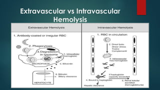 HEMOLYTIC ANEMIA -including autoimmine hemolytic anemia.pptx