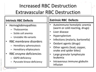 Hemolytic anemia akk | PPT