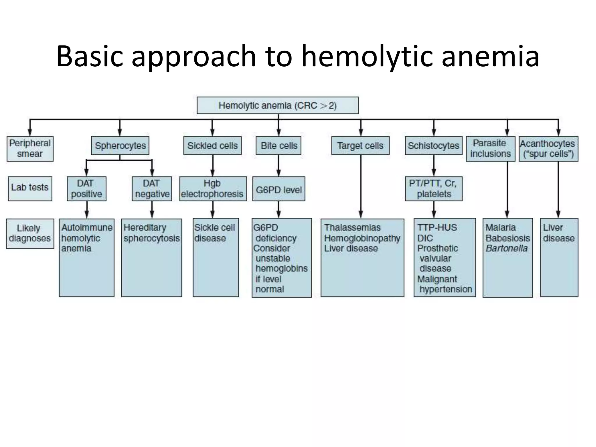 Hemolytic anemia case | PPTX
