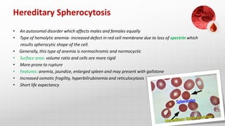 Hemolytic Anemia | PPT