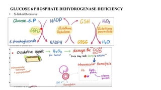 hemolytic anemia final presentation.pptx